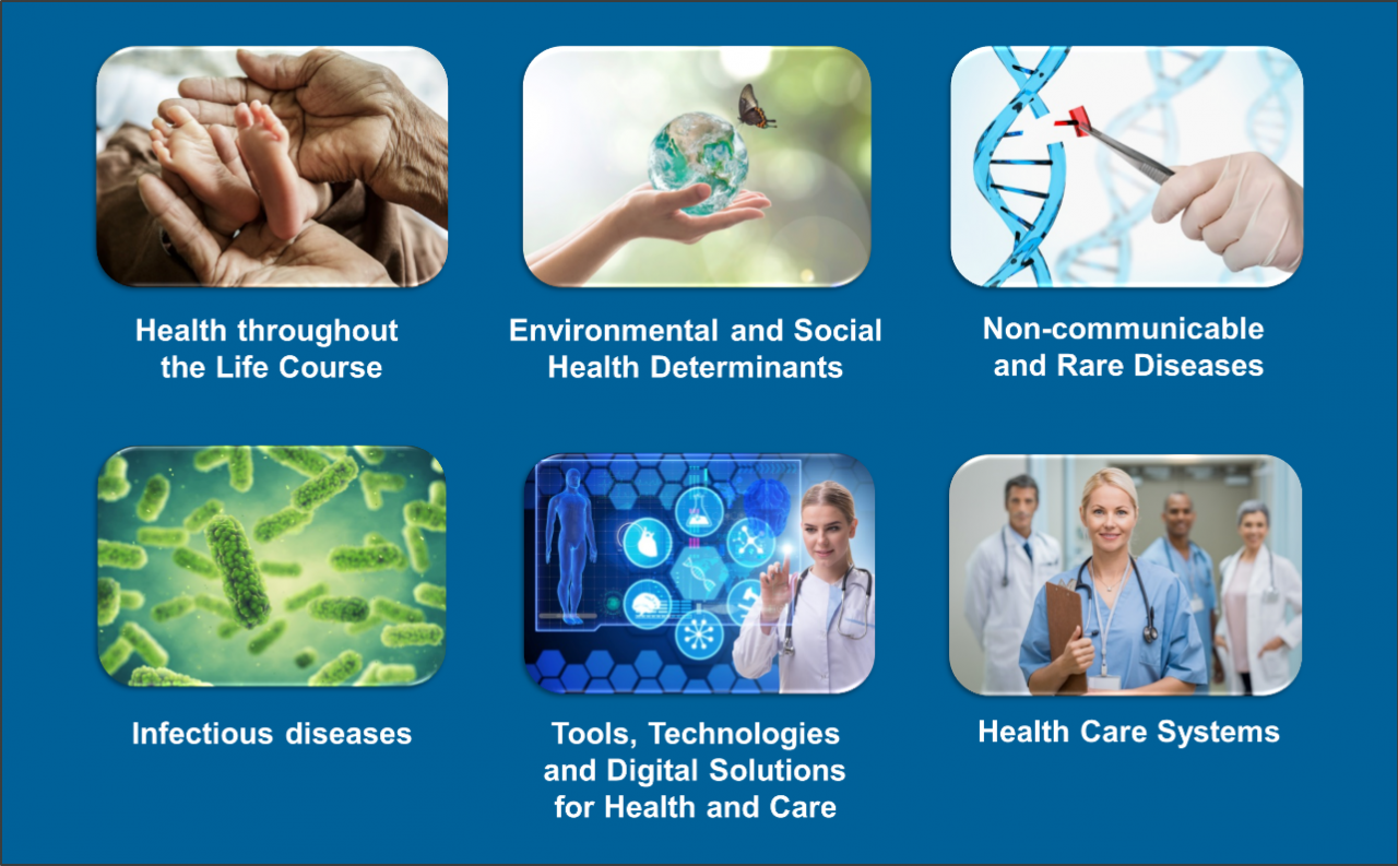 Cluster 1 Health - Perin